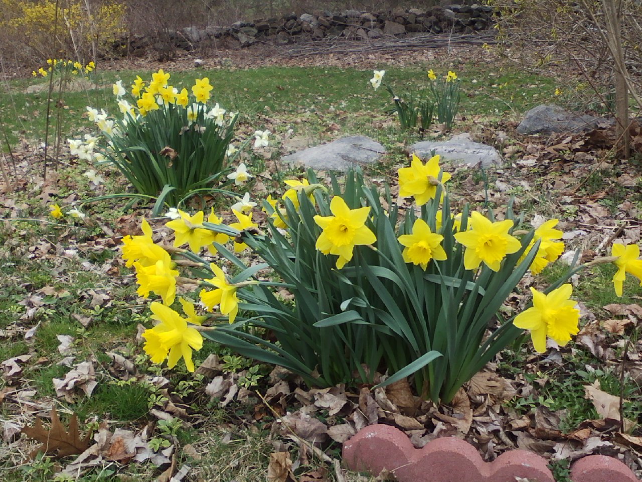 Hope, Spring and Resurrection! | Apples of Gold